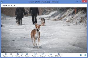 GIF Viewer Software for Windows: 6 Best in 2025