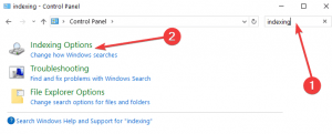 FIX: Windows.edb huge file on Windows 10/11