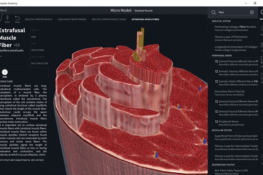 38 Best Photos Best Study Apps For Anatomy And Physiology 8 Best 38 Best Photos Best Study Apps For Anatomy And Physiology 8 Best