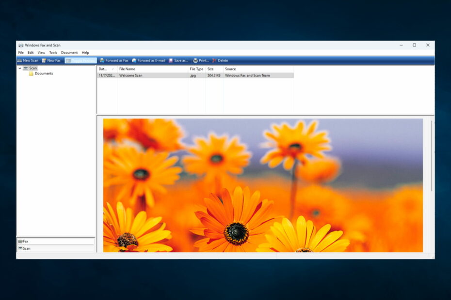 Where Do All My Scanned Documents Go On My PC Easy Ways 