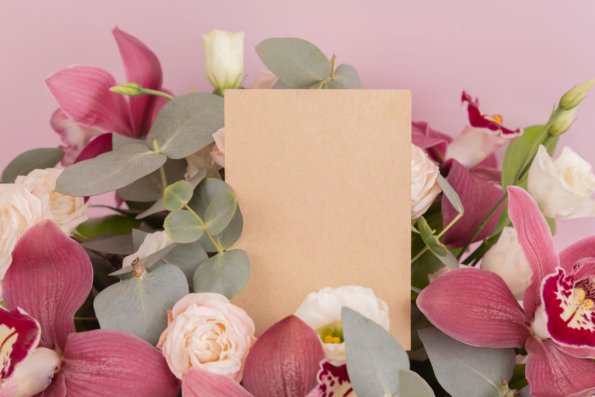 Greeting Card Software 7 Best We Tested In 2023 Greeting Card Software 7 Best We Tested In 2023