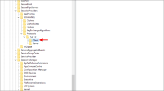 How to Disable TLS 1.0 and 1.1 and enable TLS 1.2 and 1.3 on Windows Server