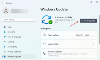 Windows 11 Mouse Click Not Working: How to Easily Fix it