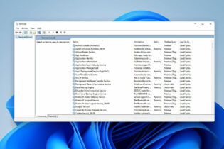 Global Iris Service: What Is It & What Does It Do?