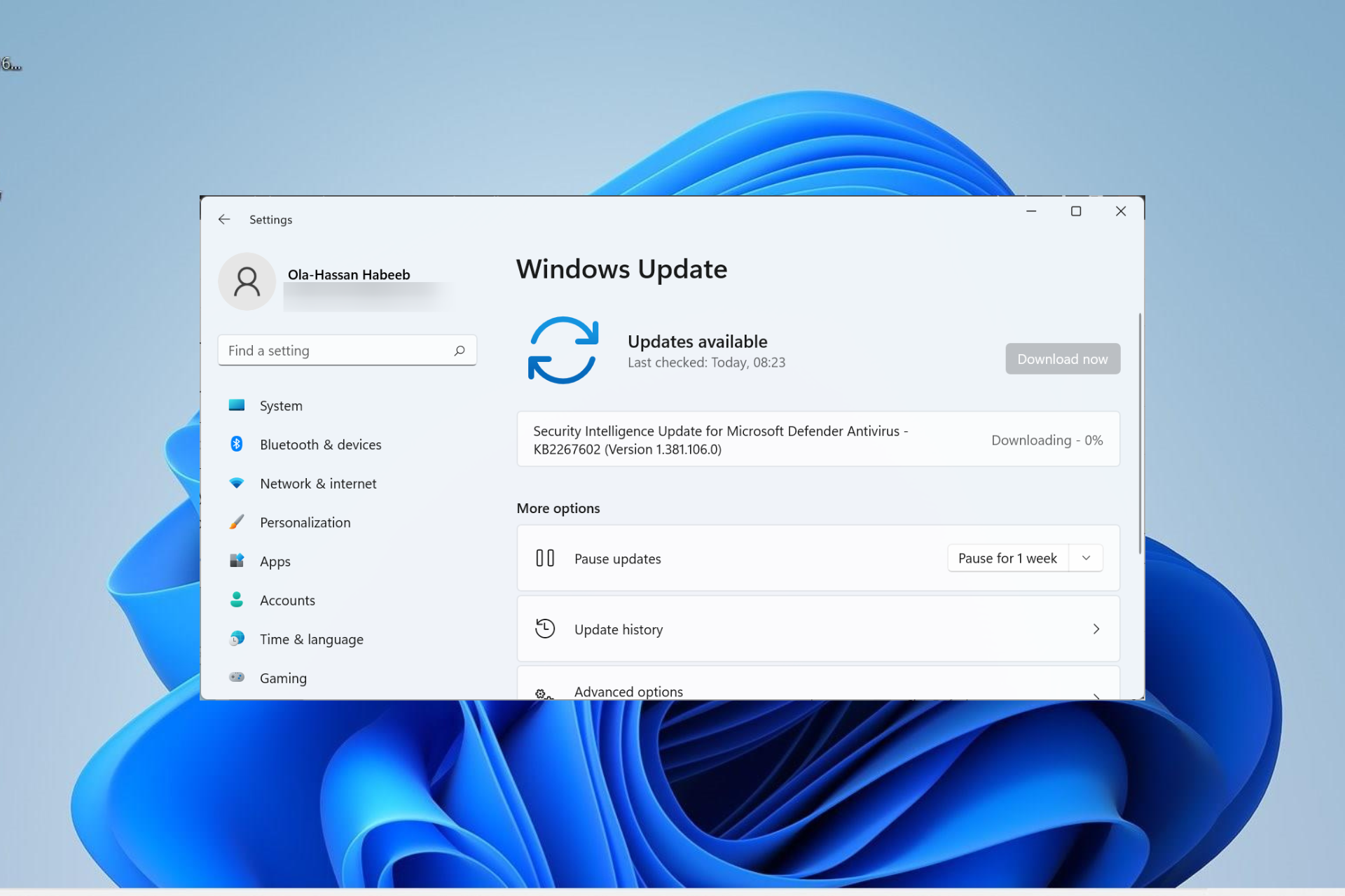 Windows 11 8 Windows 11 8