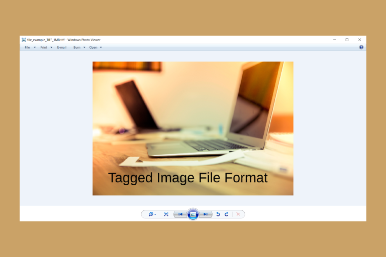 TIF Viewer for Windows 10 & How to Open TIF Files