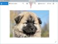 How to Sort Photos by Favorites on Windows 10 & 11