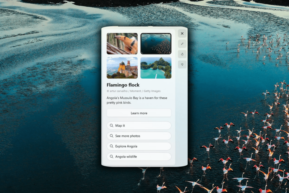 What's new with spotlight tool on your Windows 11 desktop?