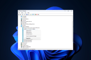 Fix: No Internet in Windows 11 Safe Mode With Networking