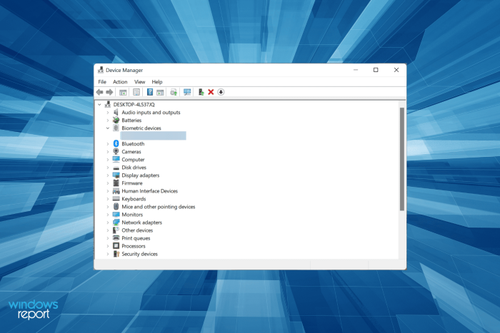 Caster Windows 11 _ Installer Miroir D’Écran Windows 11 – NRTC